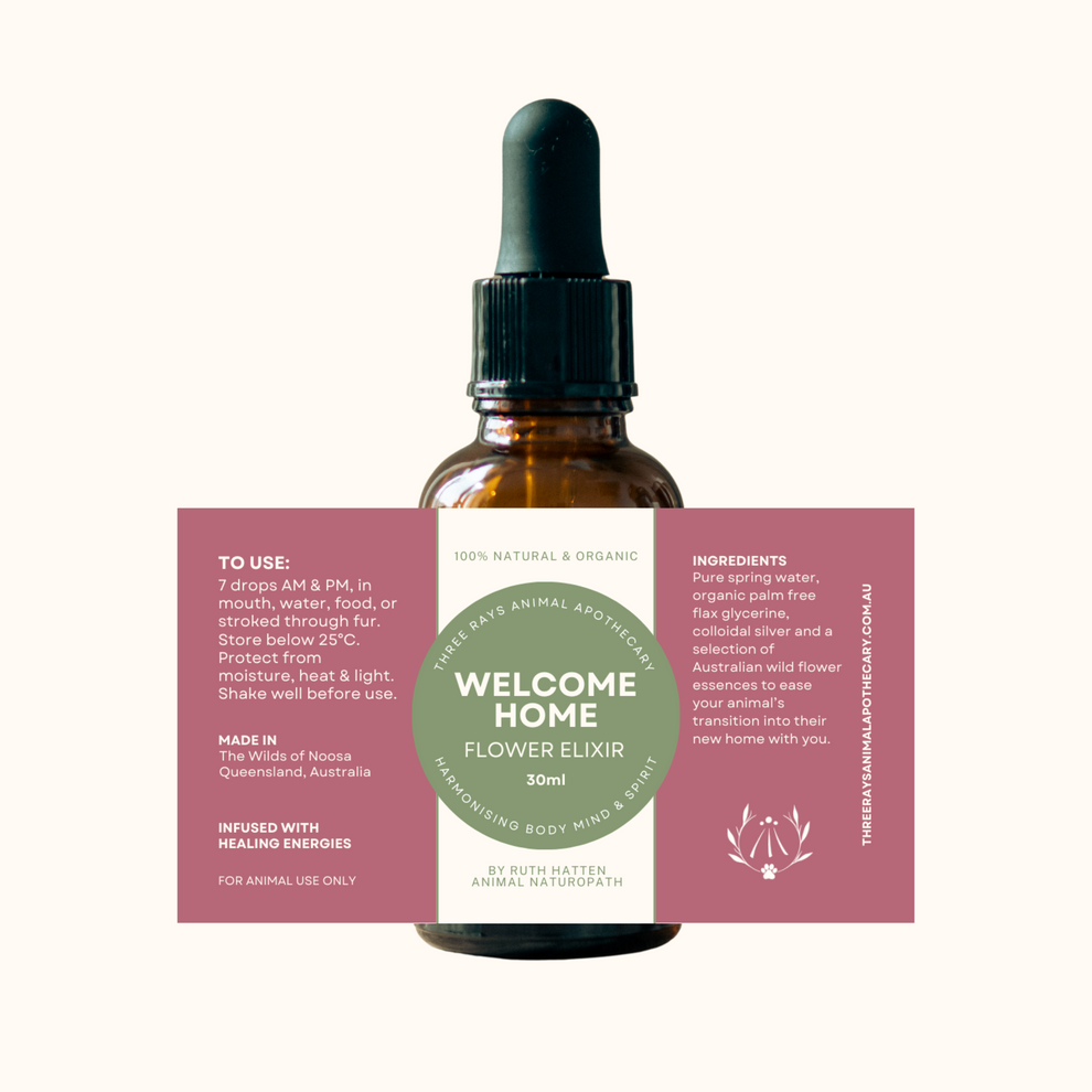 Welcome Home Flower Elixir – Three Rays Animal Apothecary